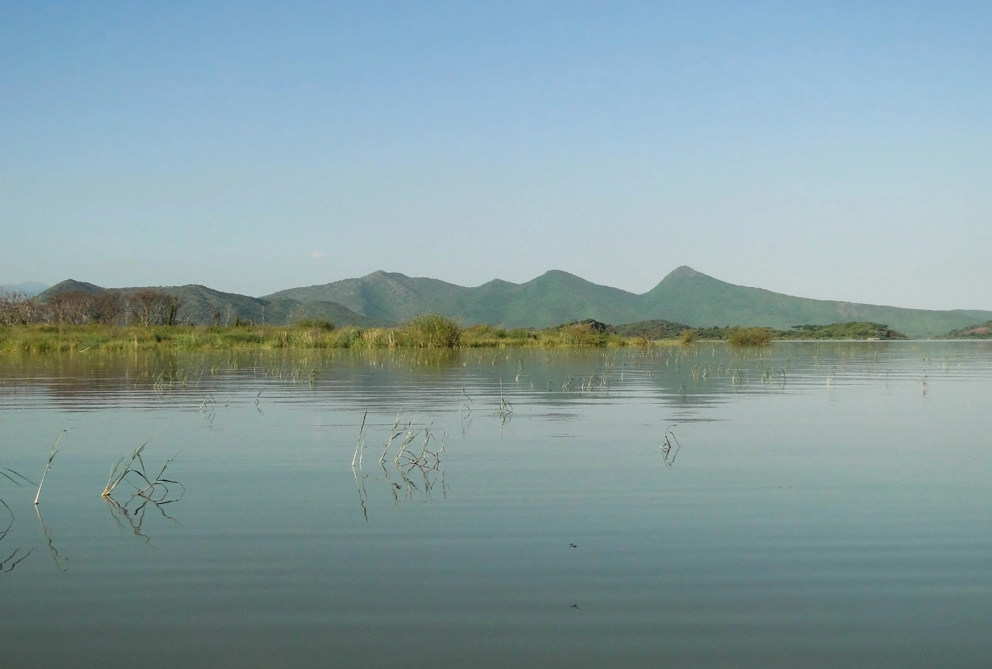 Lake Chamo | Brilliant Ethiopia